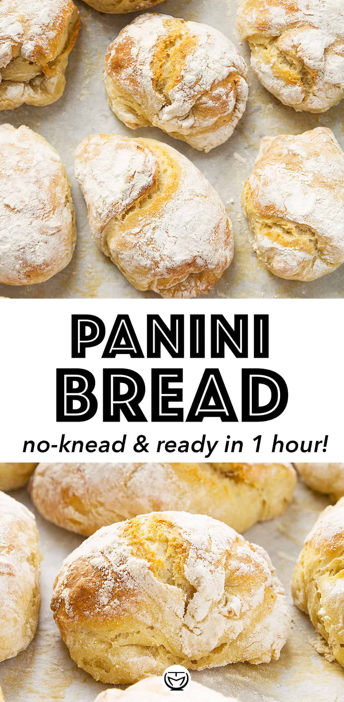 PANINI BREAD RECIPE READY IN 1 HOUR The Clever Meal