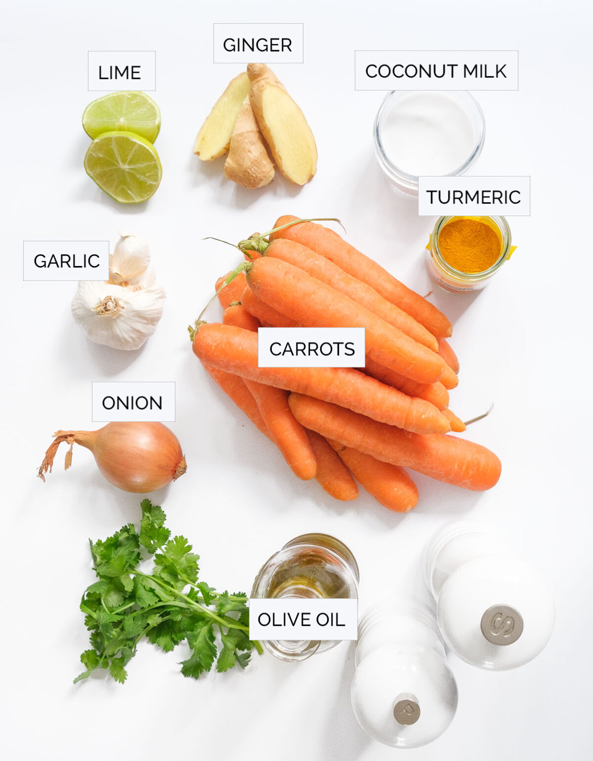 Carrot Ginger Soup - The clever meal
